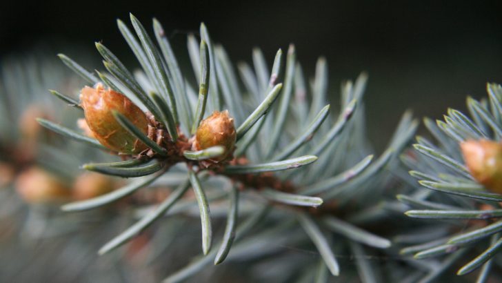 Tips Pinning Files And Jump Lists In Ms Apps