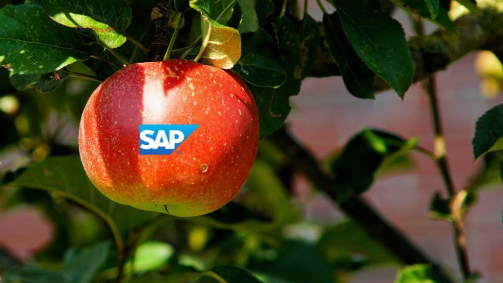 Apple bids for business with SAP