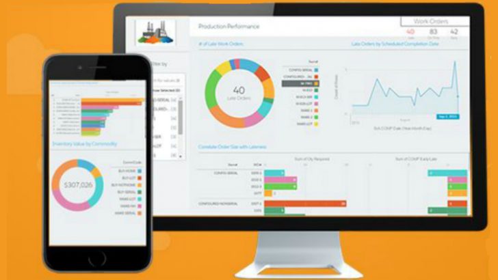 Rootstock gives analytics on ERP