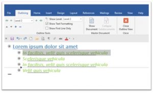 What is and how to use the Outline View in MS Word