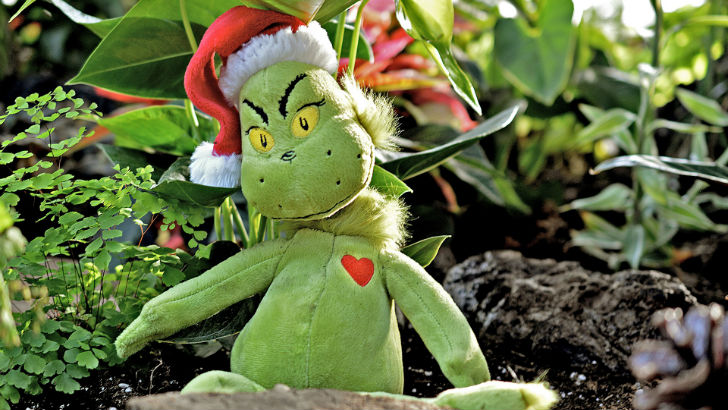 Don’t Let the Grinch Steal Your Data! 5 Tips for a Safe Cyber Christmas