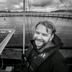 'Sea to Table' insights for sustainable seafood adopts IBM blockchain