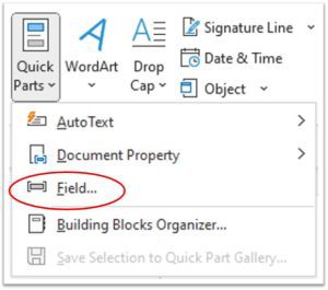 What are field codes in Word?