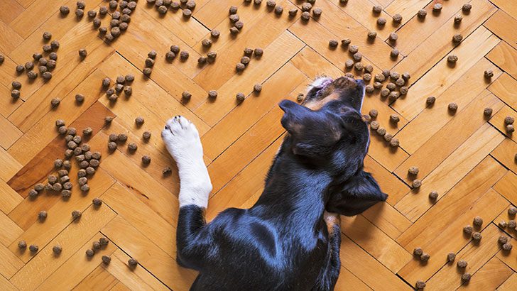 Why waste management matters for Pet Food manufacturers