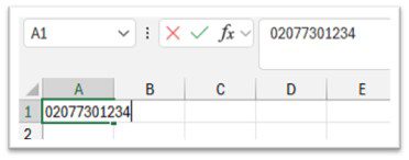 Custom format for leading zero numbers in Excel